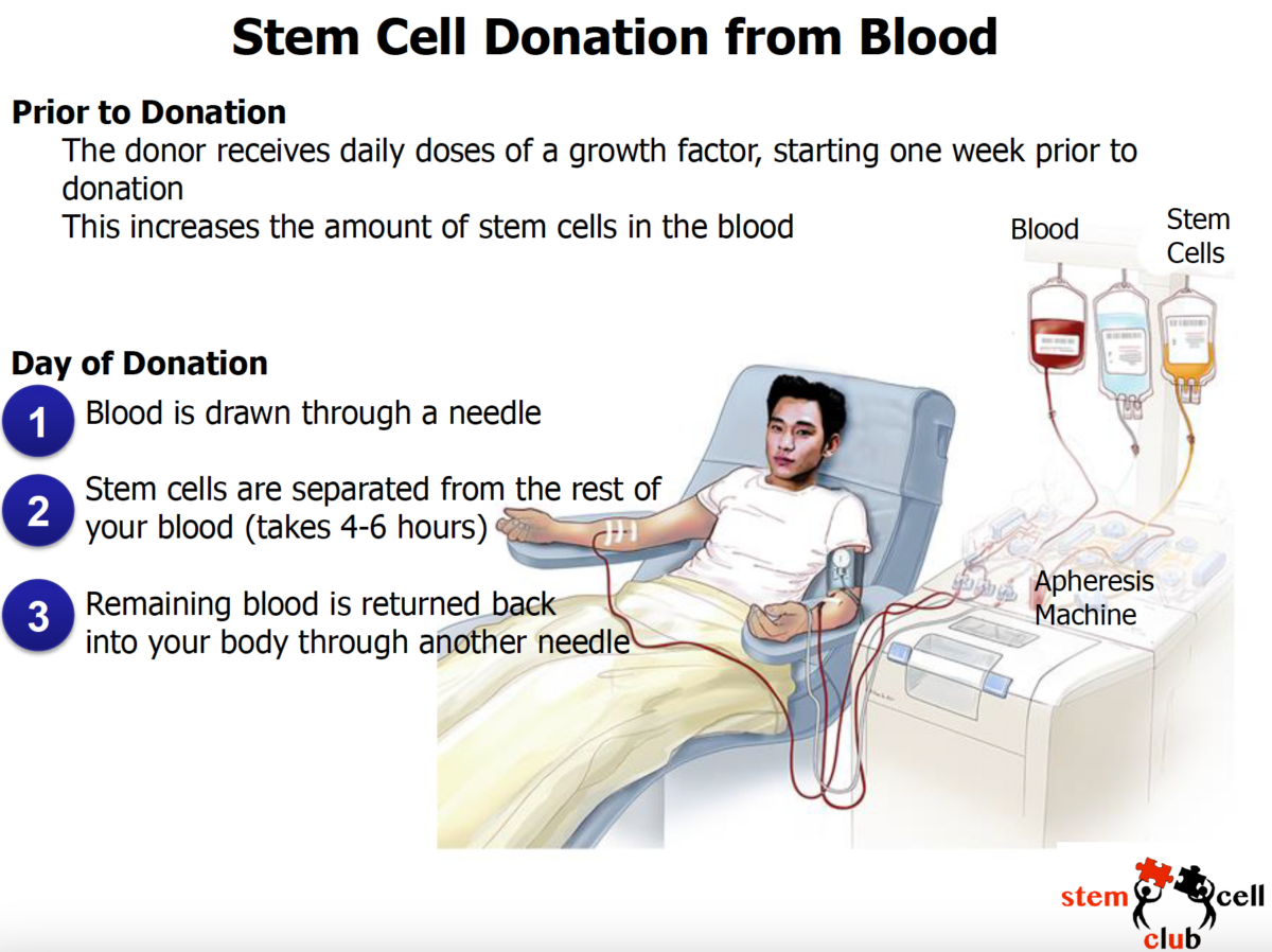 Asian Heritage Month: Raising awareness on Asian stem cell donors with ...
